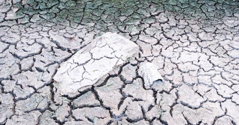 Ravi Agarwal | Artist | Photographer | Environmental Campaigner ...